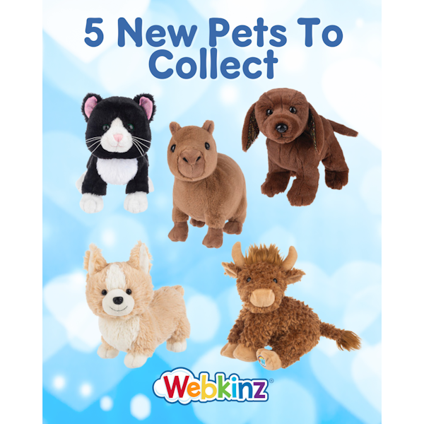 Webkinz World - New Releases – Perfectly At Home